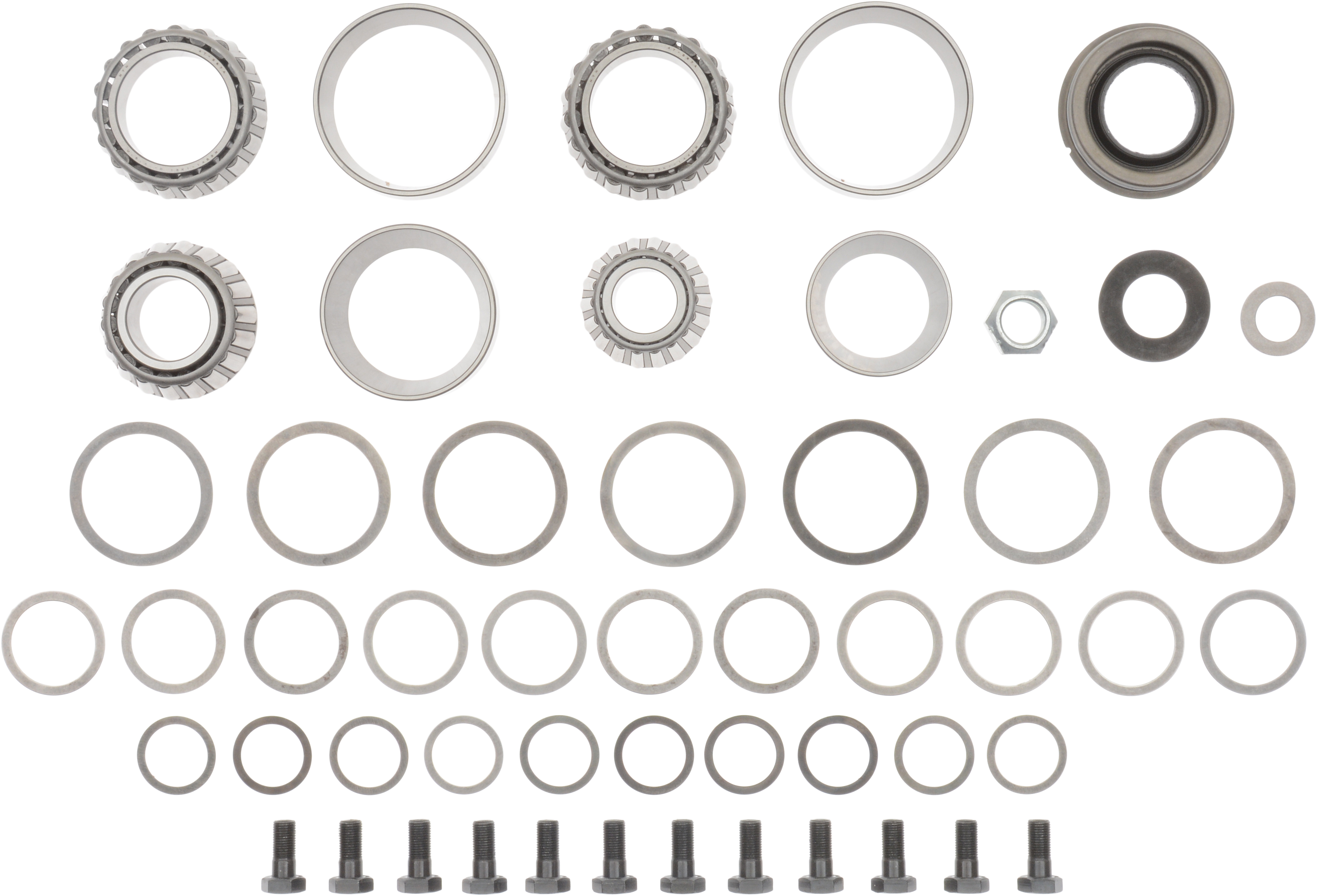 danaaftermarket.com | Differential Rebuild Kit