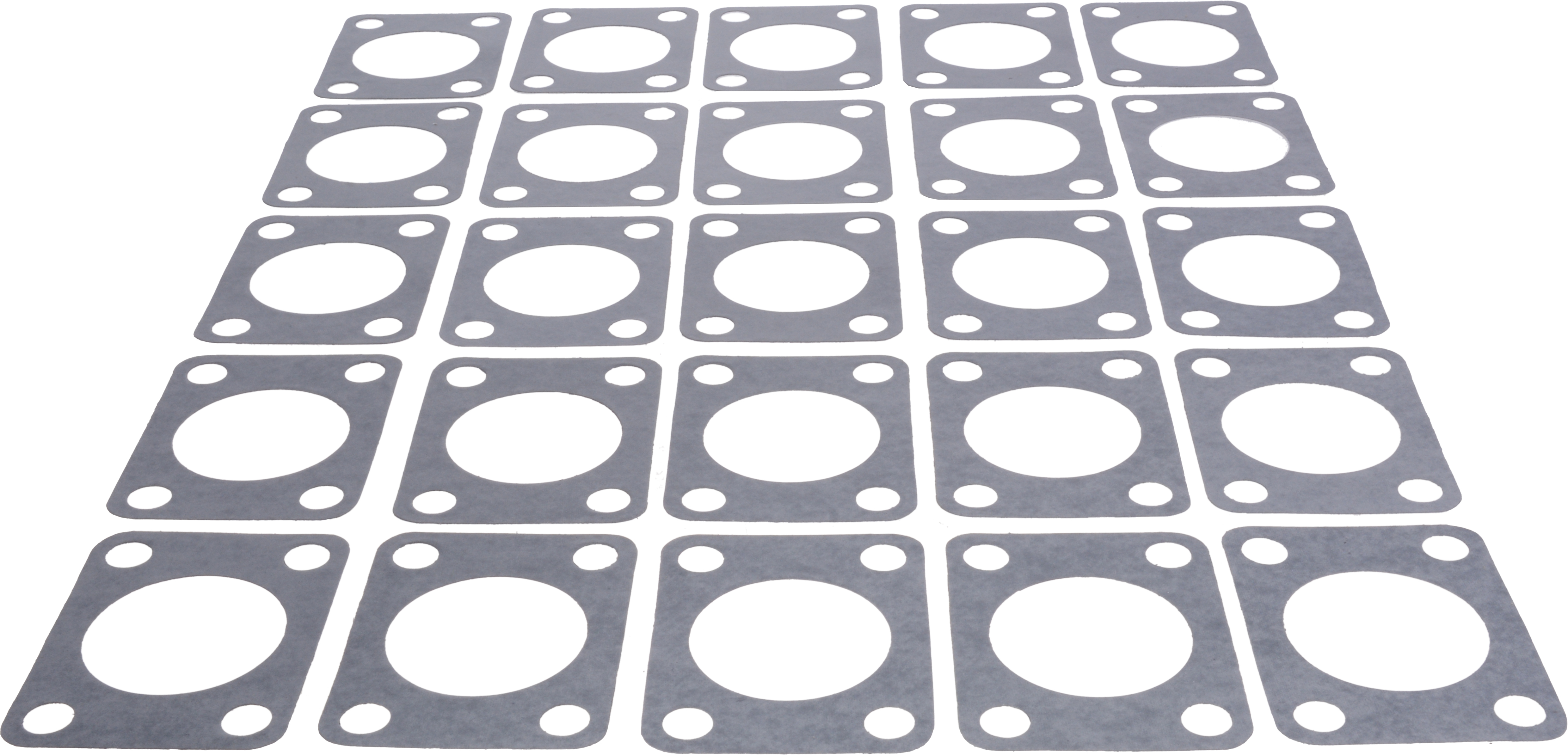 danaaftermarket.com | Steering King Pin Bearing Cap Gasket
